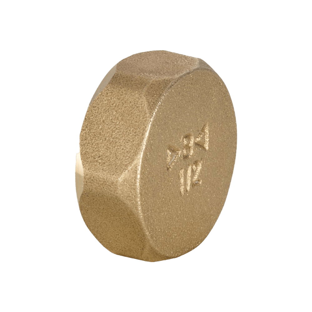 Female Cap 1 1/4" - Conex International